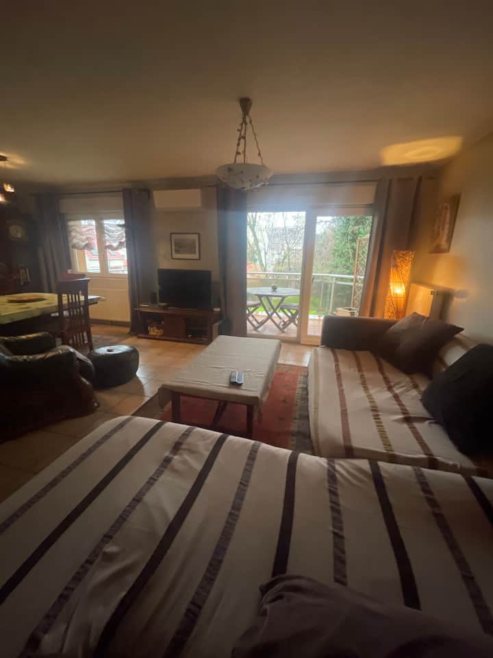 Grand Et Bel Appartement Au Calme Proche Du Centre - Rheinau