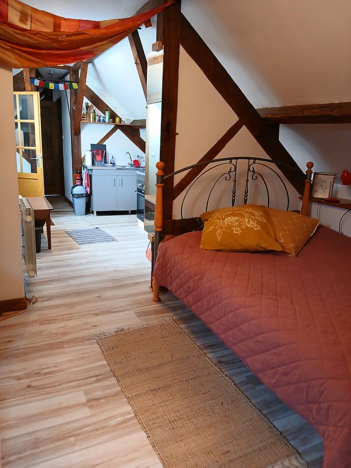 Charmant Loft En Plein Centre Ville - Parthenay
