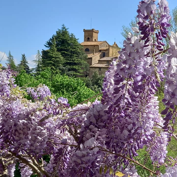 Casa Vacanze Il Mulino - Tuscany