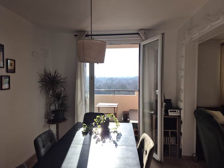 Appartement Lumineux Avec Balcons Et Tram Au Pied - Angers