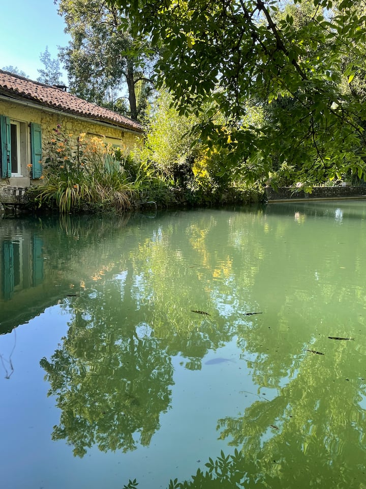 Loft Dans Moulin, Atypique - Cordes-sur-Ciel