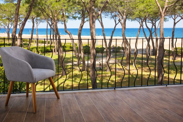 T2 - Les Pieds Dans L'eau. - Plage du Racou