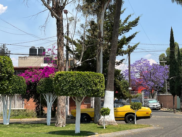 15 Min From Airport&downtown-ideal For Couples - Nezahualcóyotl