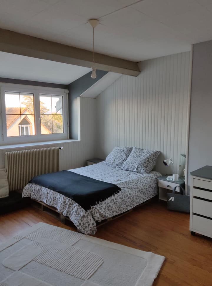 Chambre Spacieuse - Mantes-la-Jolie