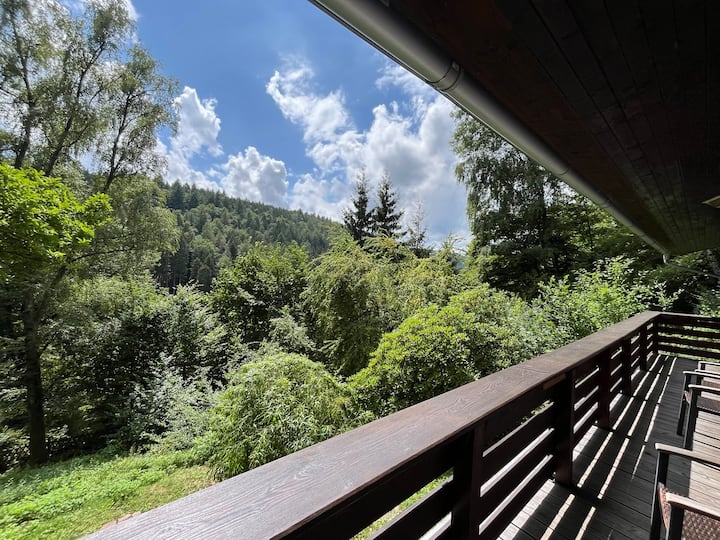 Hide Away Near Heidelberg - 希爾施霍恩