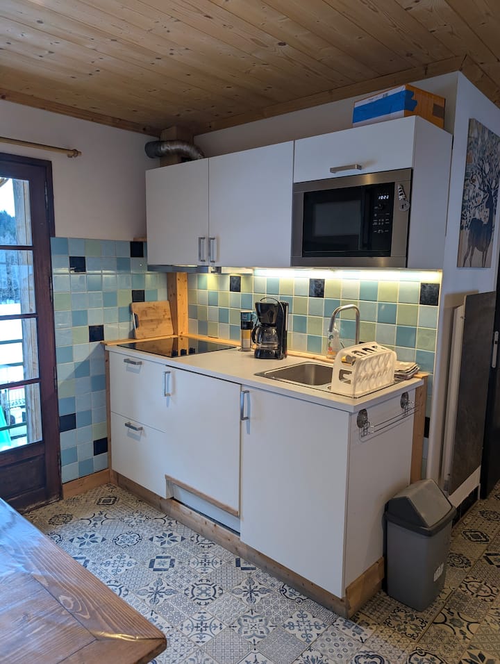 Studio Le Petit Bernois - Lac de la Girotte