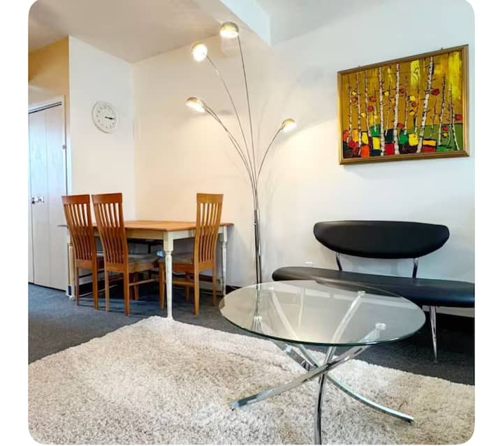 New Spacious 2 1/2 Appt Central Location - Québec, QC