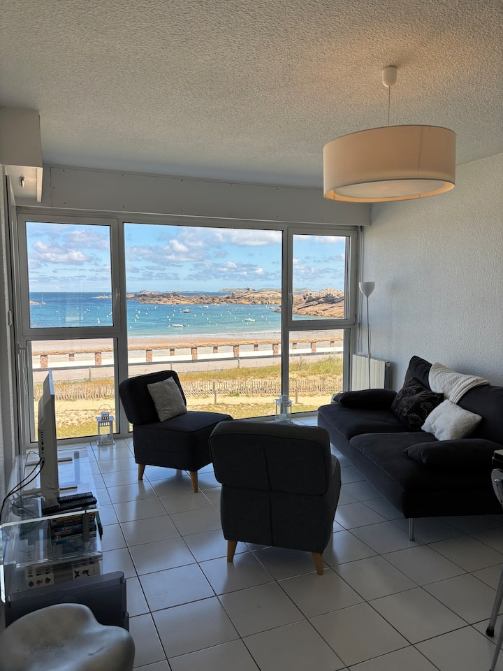 Vue Mer à 180° - Trégastel