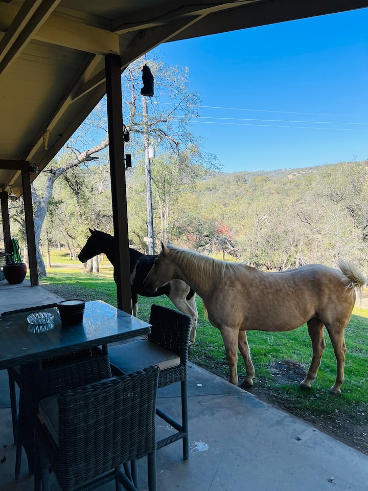 Sequoia Kings National Park Cody Canyon Ranch Farm - California