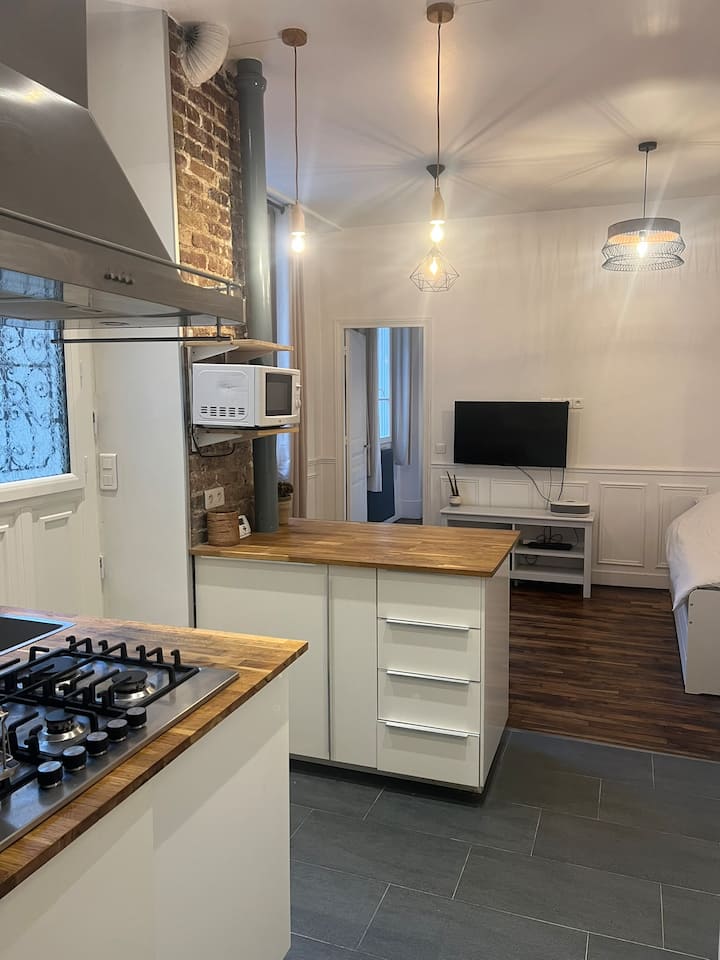 Charmant Cosy Et Calme Appartement De 35m² - France