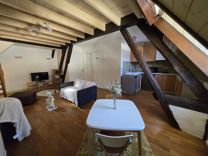 Charmant Duplex Cœur De Ville - Chartres