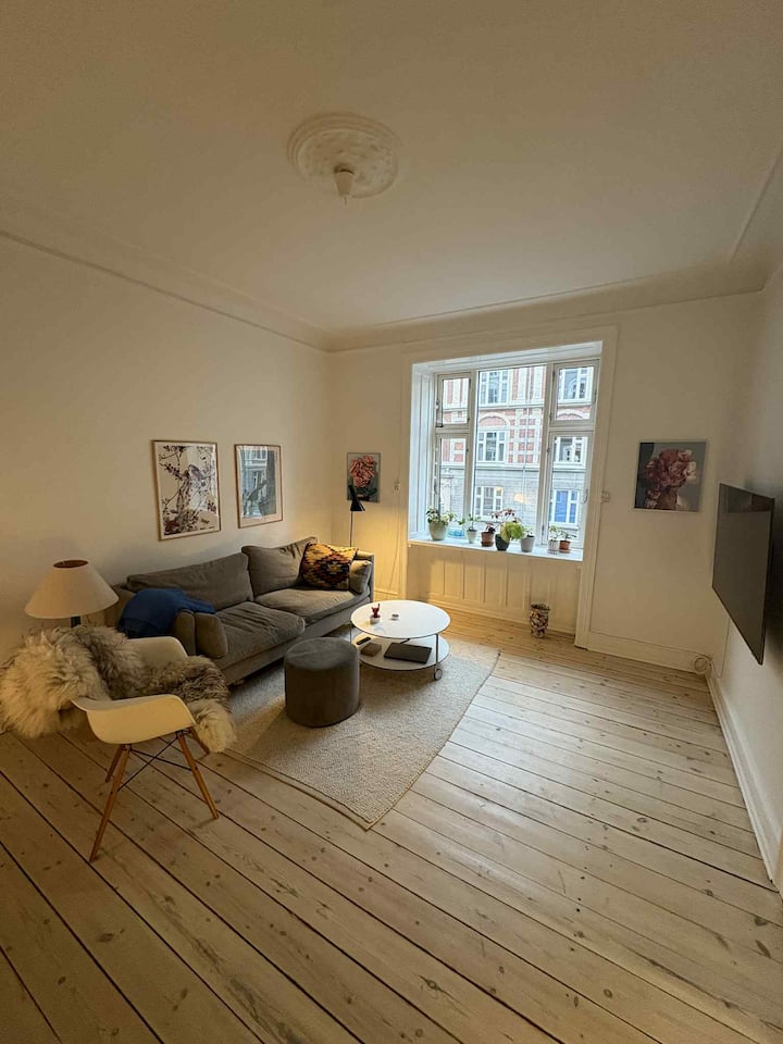 Spacious, Cozy Apartment Near City Centre - Copenhagen