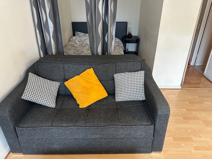 Agréable Studio Avc Vue Direct Cinquantenaire - Etterbeek