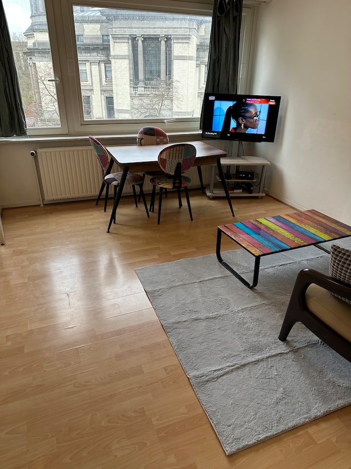 Agréable Studio Avc Vue Direct Cinquantenaire - Brussels
