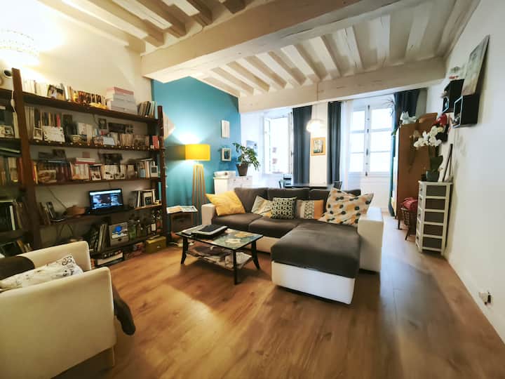 Appartement De Charme En Plein Coeur De Bouffay! - Nantes