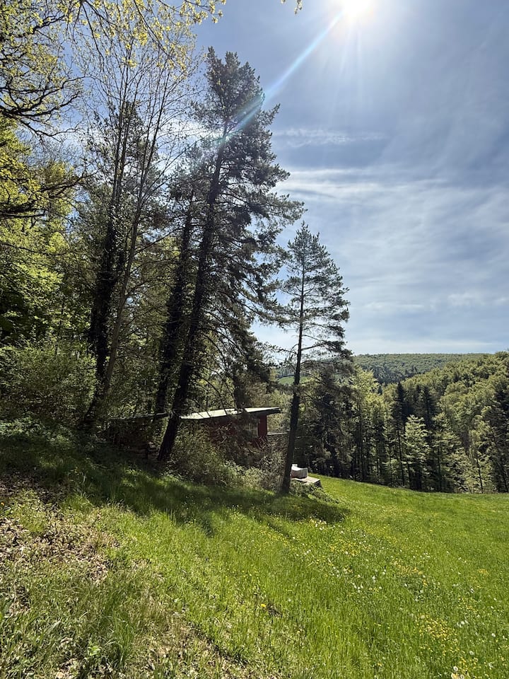 Living In The Forest - Canton de Jura