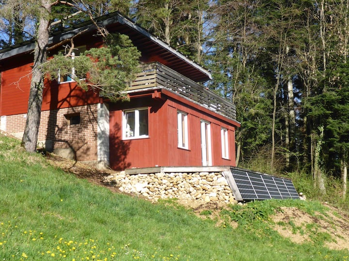 Living In The Forest - Switzerland