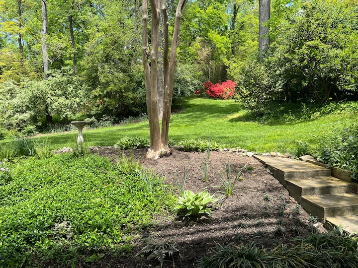 Leafy Oasis Near Old Town And Mt Vernon - Alexandria, VA