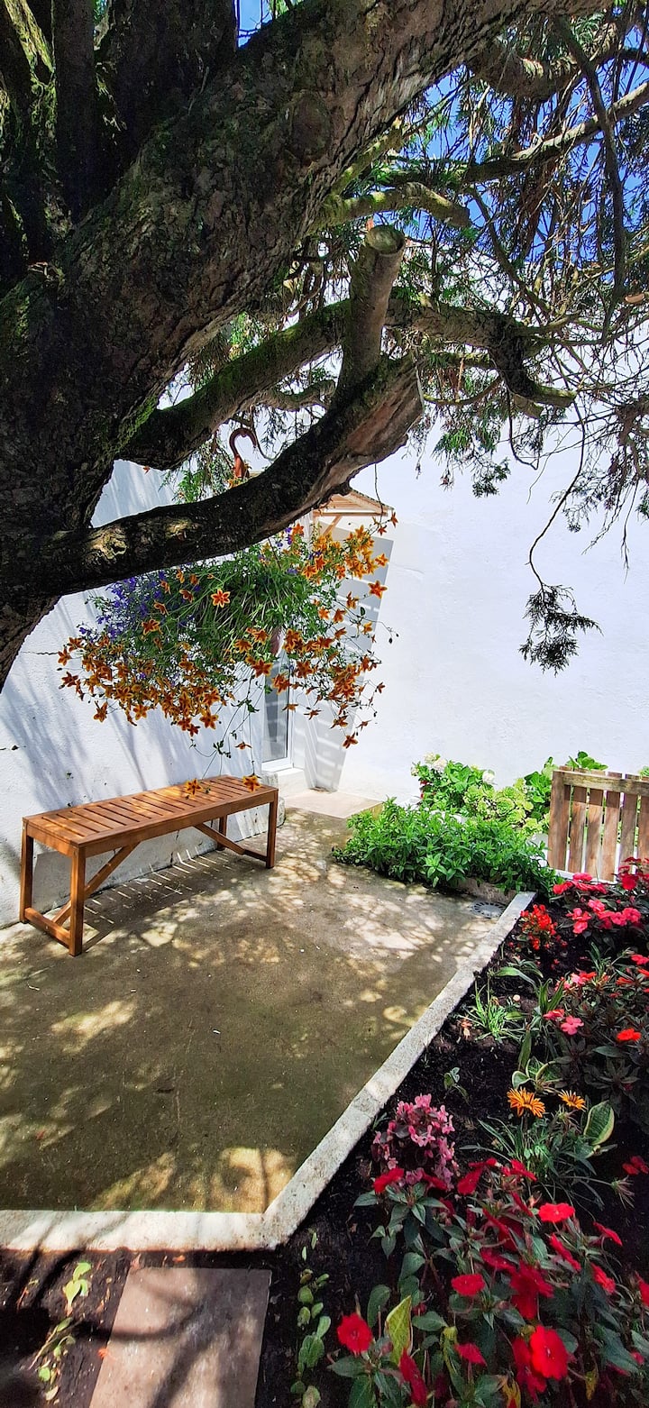 Lovely Pateo - Lagoa - Ribeira Grande