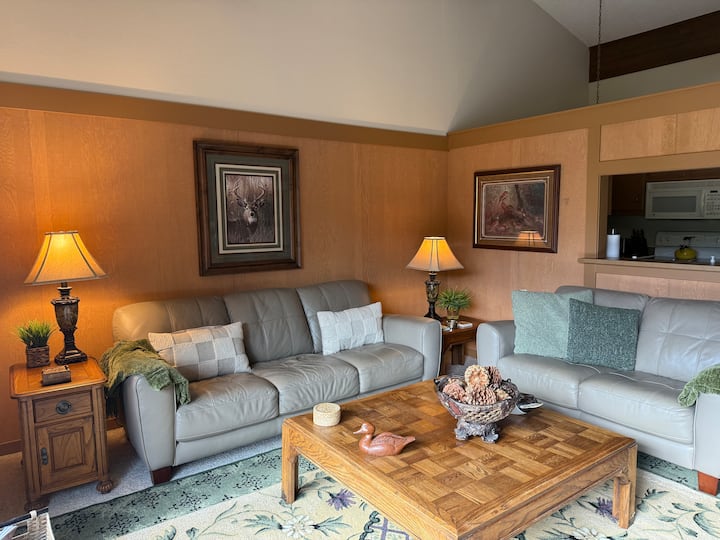 Lake Tahoe Meadow View Condo #46 - 3br/3ba - Lake Tahoe