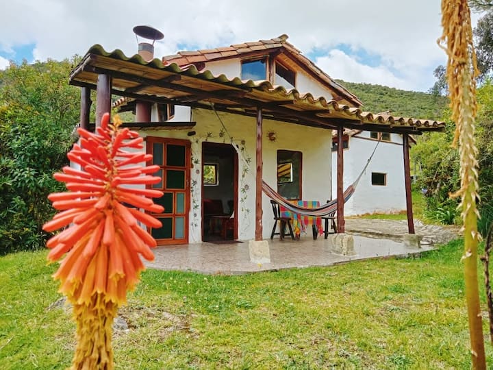 Mágica Cabaña Colibrí En El Bosque. - Sopó
