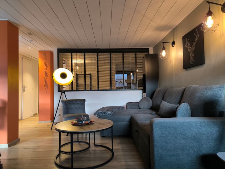 Ambiance Loft - Flaine