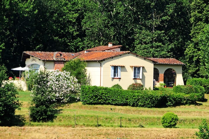 Charming Villa With Pool A/c Close To Lucca Pisa - Lucca
