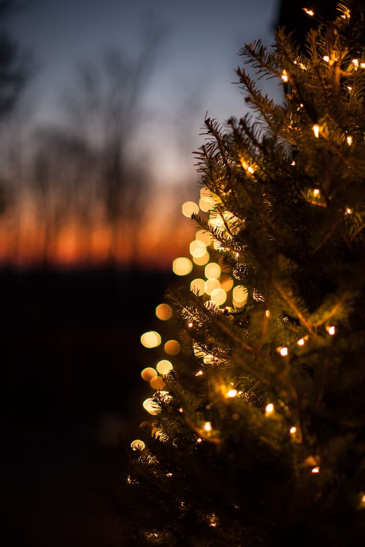 Beautiful 2 Bedroom Penthouse In Downtown Troy - Troy, NY