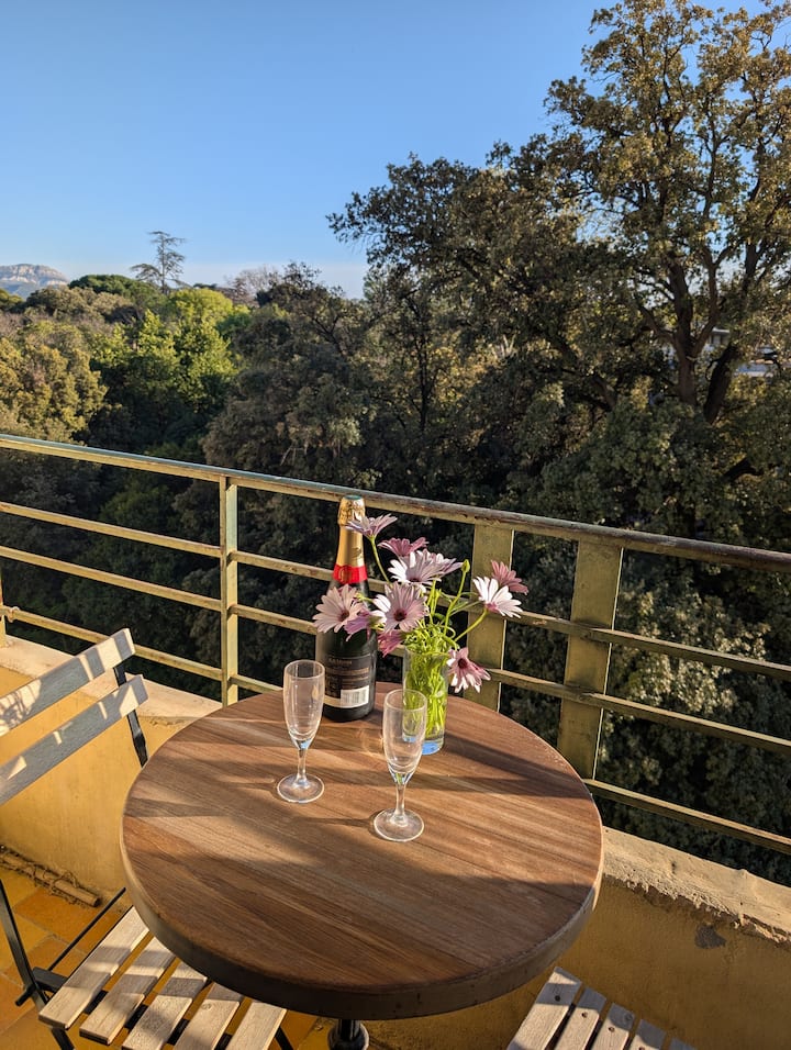 Maison Cassini - Vue, Lumineux, Jardin, Longchamp - Marseille