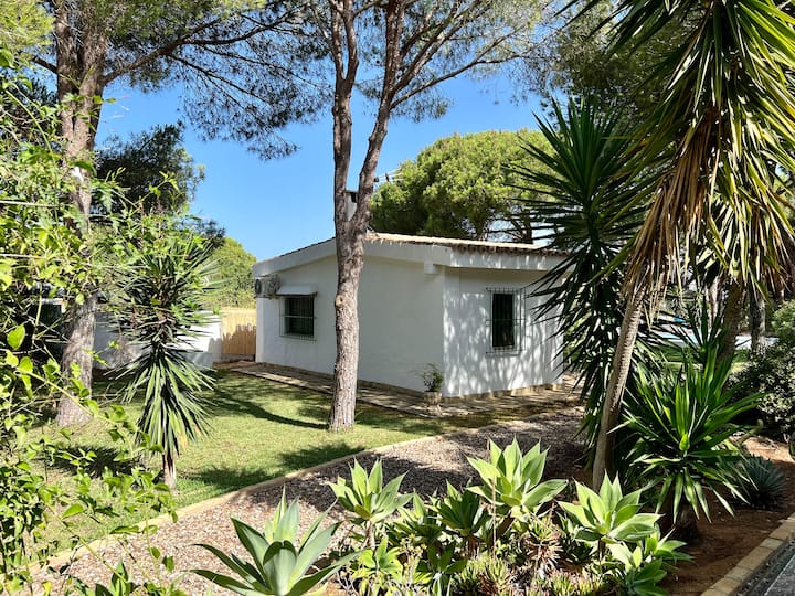 La Pinocha - Chiclana de la Frontera