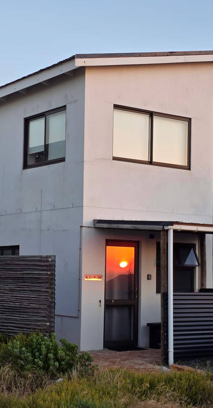 Kleinblom In Pringle - Pringle Bay