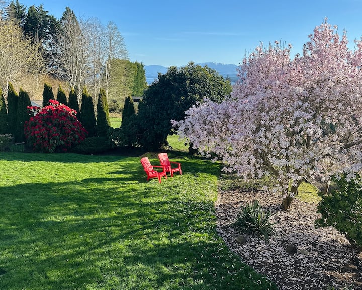 Sand Dollar Escape - Comox
