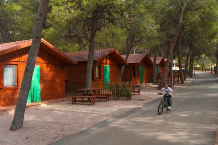 Bungalow 4 Plaza - Cella