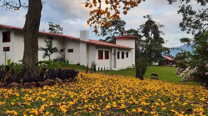 Casa Finca Madrid Mazzitelli - Támesis