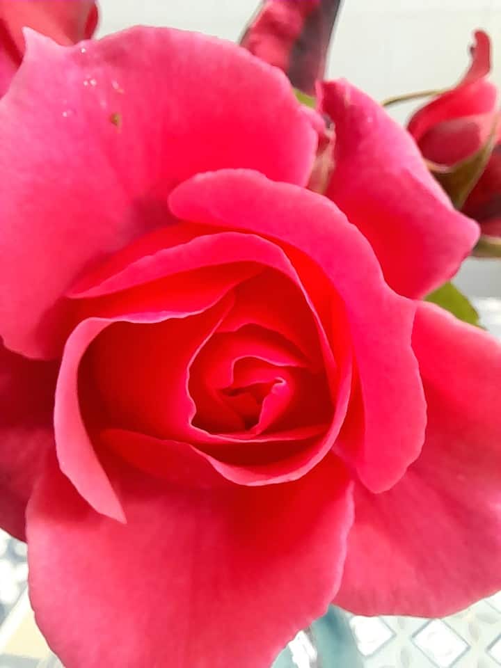 Casa Porta (Codice Citra 010025-lt-0498) - Genoa