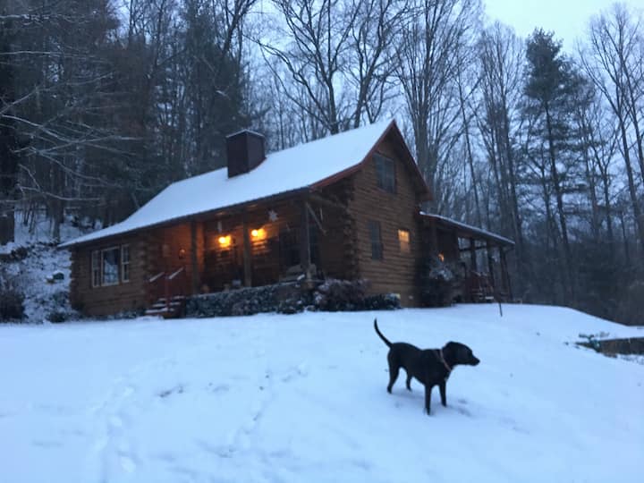 Mountain Haven Retreat 7 Minutes From Brevard - Brevard, NC