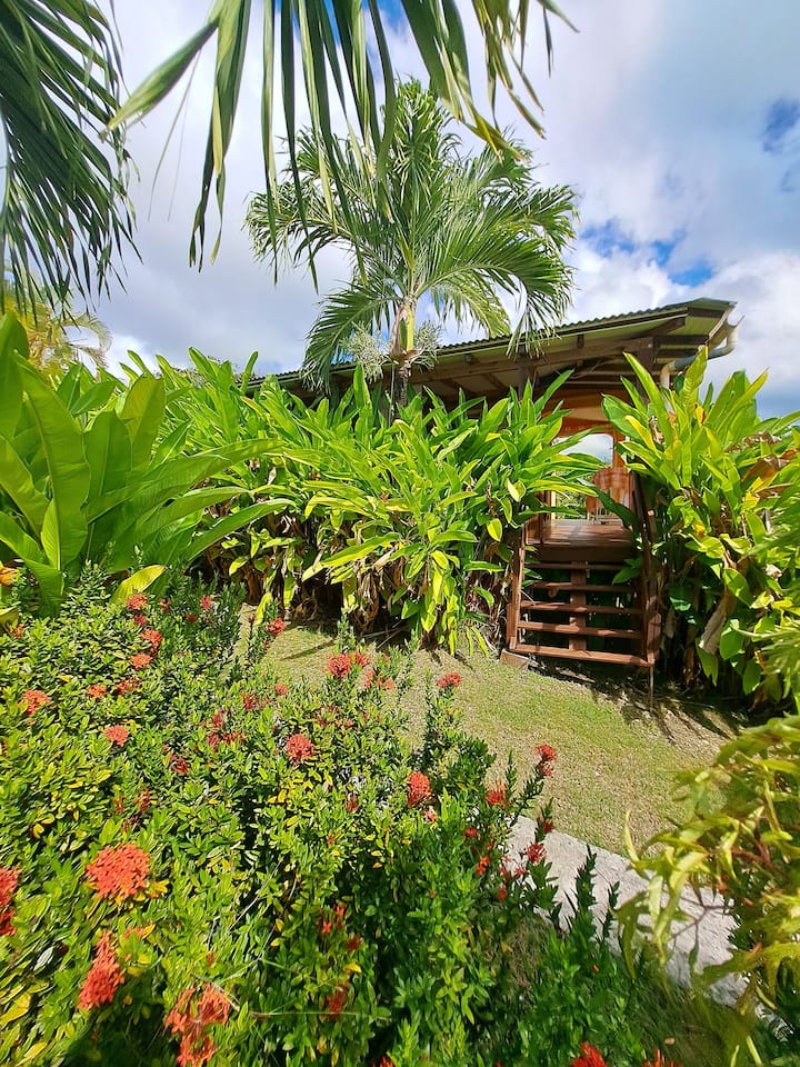 Mandarine, Jpv Location - Anse des Rochers