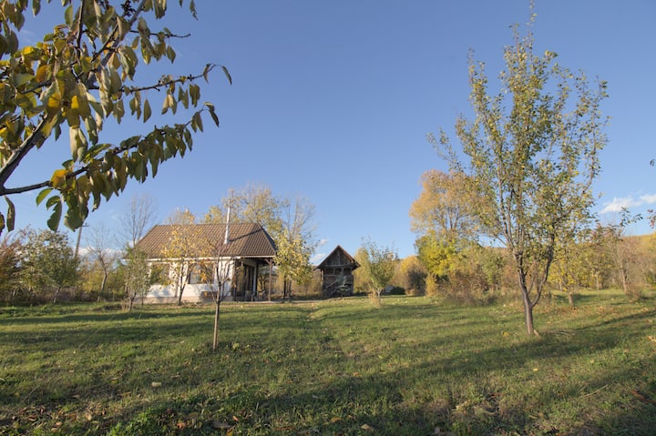 Brebu Holiday House - Slănic