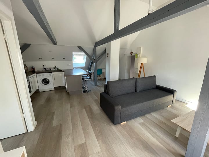 Appartement Cosy à Strasbourg - La Wantzenau