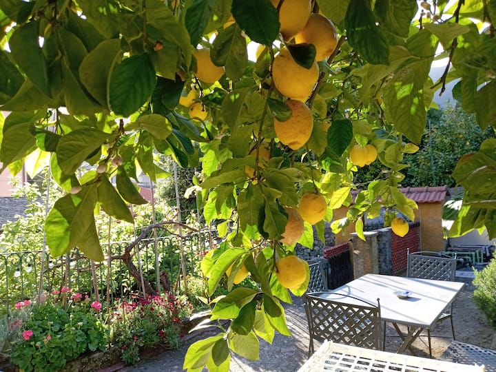 Cozy Cottage,monterosso(parking)011019cav0006 - Monterosso al Mare