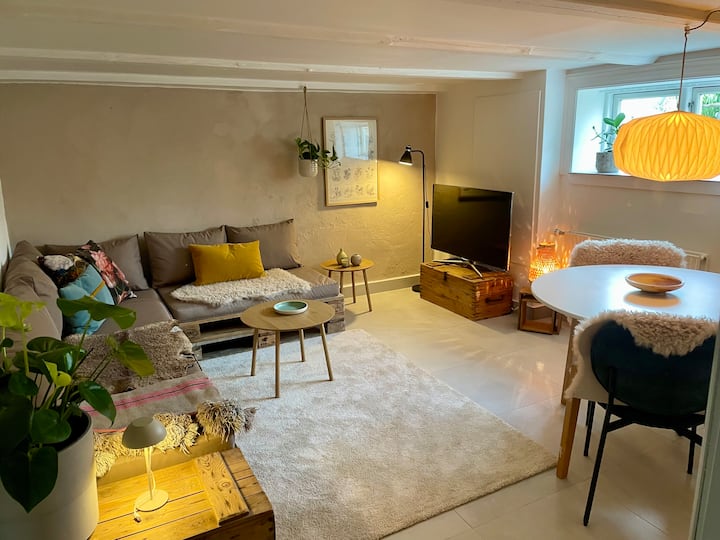 Hyggelig Kælderlejlighed - Aarhus