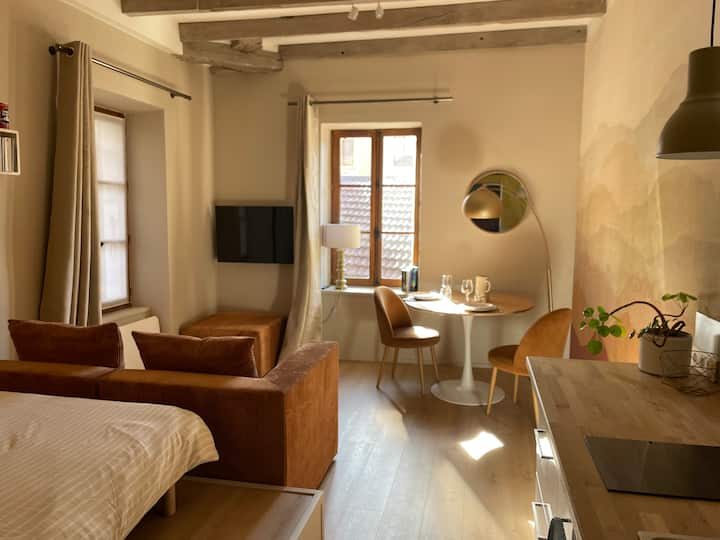 Loft Calme Et Lumineux, Coeur Annecy, Proche Gare - Annecy