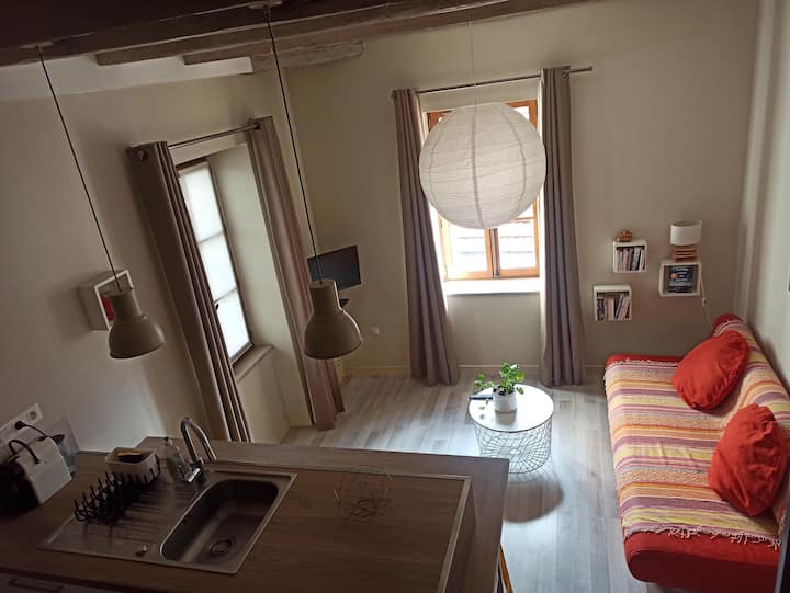 Coup De Cœur, Vielle Ville, Idéal En Train - Annecy