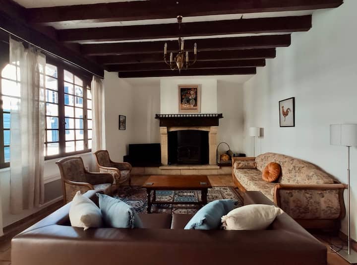 Authentic 17th Century Townhouse With Courtyard - Salies-de-Béarn