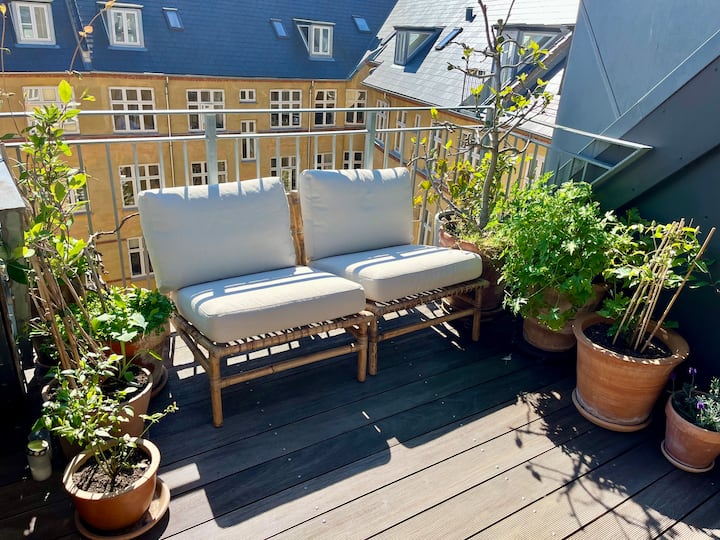 A Treasure At The Roofs Of Copenhagen - Copenhague