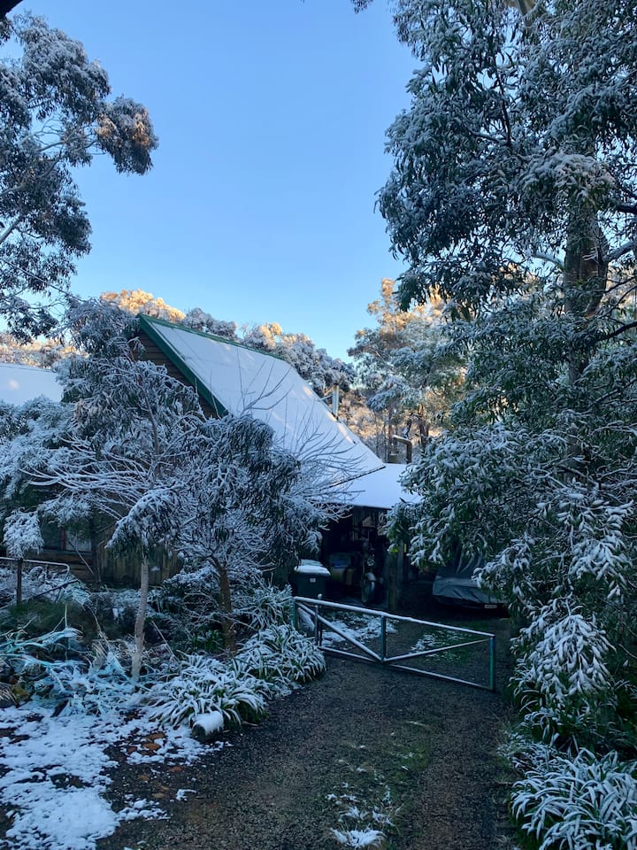 The Mountain Cabin - Blackheath, NSW, Australia