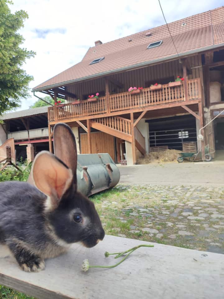 Escapade à La Ferme - Colmar