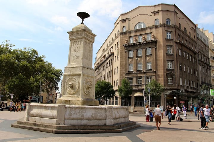 Spacious•5 Min•terazije&knez Mihailova•parking €12 - Belgrade