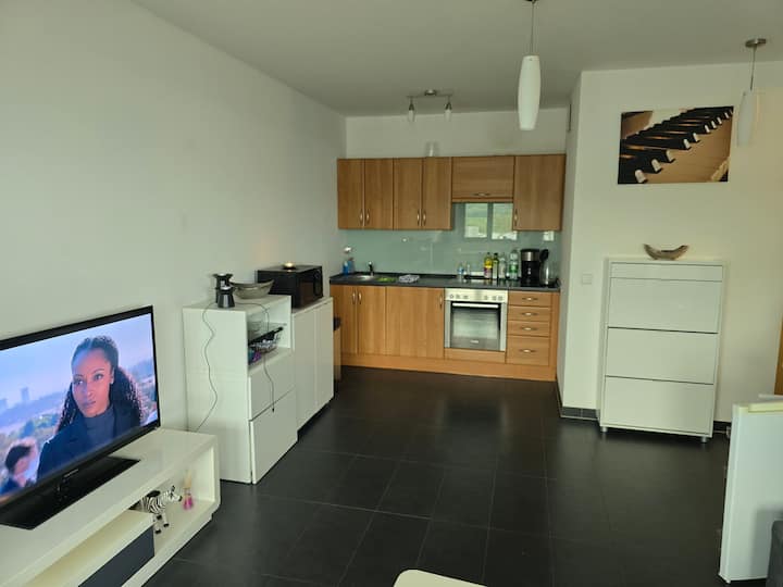 Bright, Modernized Apartment At Belval University - Esch an der Alzette