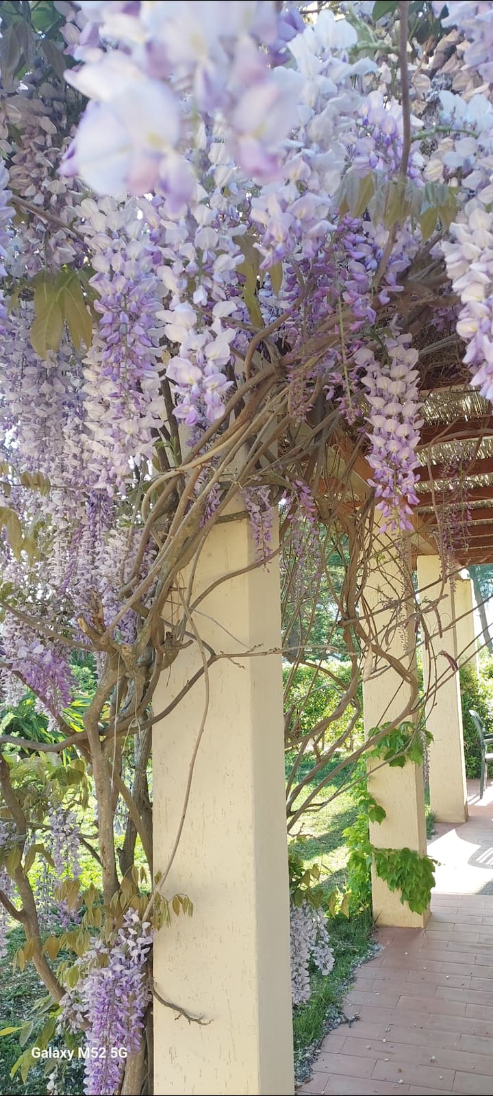 Trilocale Nei Pressi Di Portoferraio - Elba